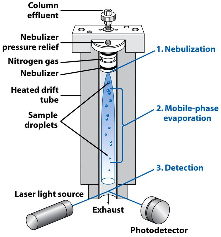 معرفی انواع دتکتور دستگاه HPLC در آنالیز دستگاهی - ری نور آزما