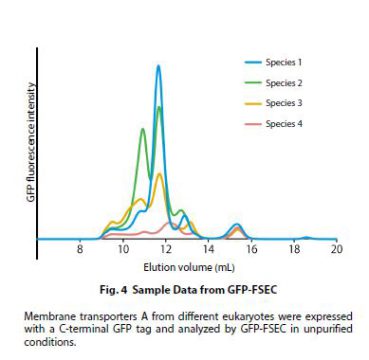 ارزیابی خواص پروتئین غشایی با استفاده از سیستم Hplc - ری نور آزما